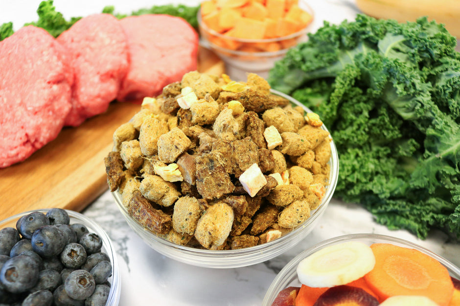 Simple Food Project - Food For Dogs & Cats – The Simple Food Project